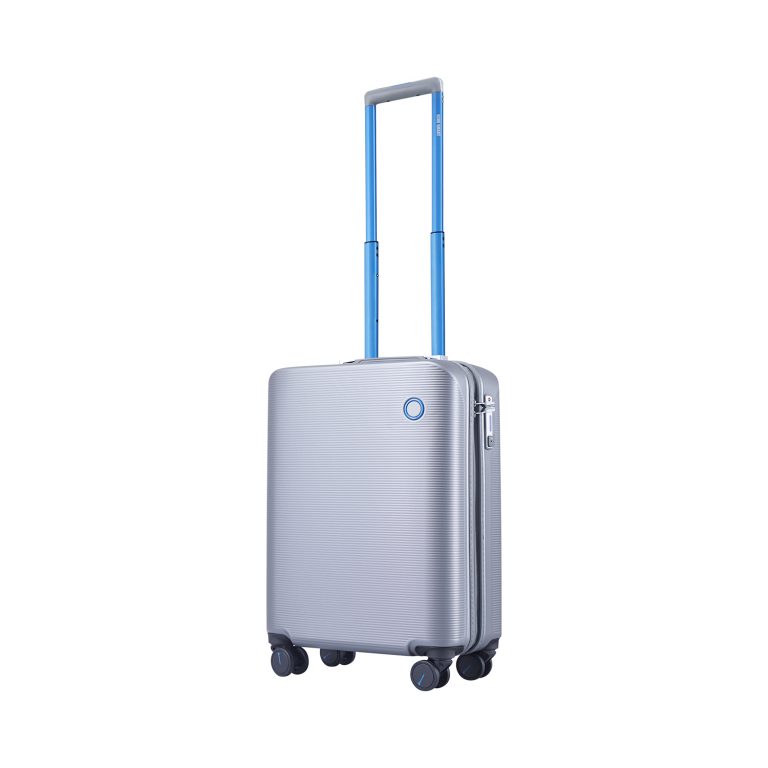 Echolac Smartecho 24" Medium Luggage (Silver) - Seager Inc