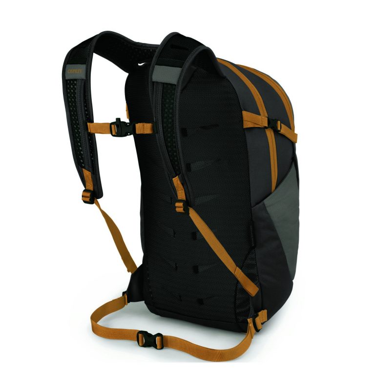 Osprey Daylite Plus 20L Backpack - Everyday (Ash/Mamba Black) - Seager Inc
